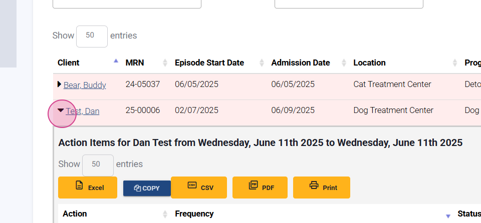 Action Plan Dashboard